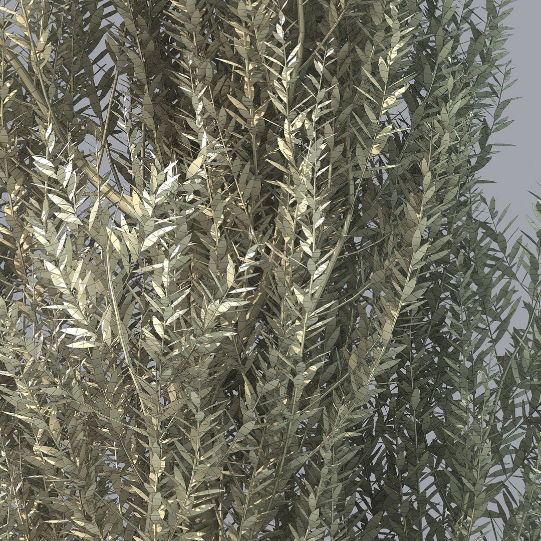 Tree scatter 3D model - TurboSquid 1173429