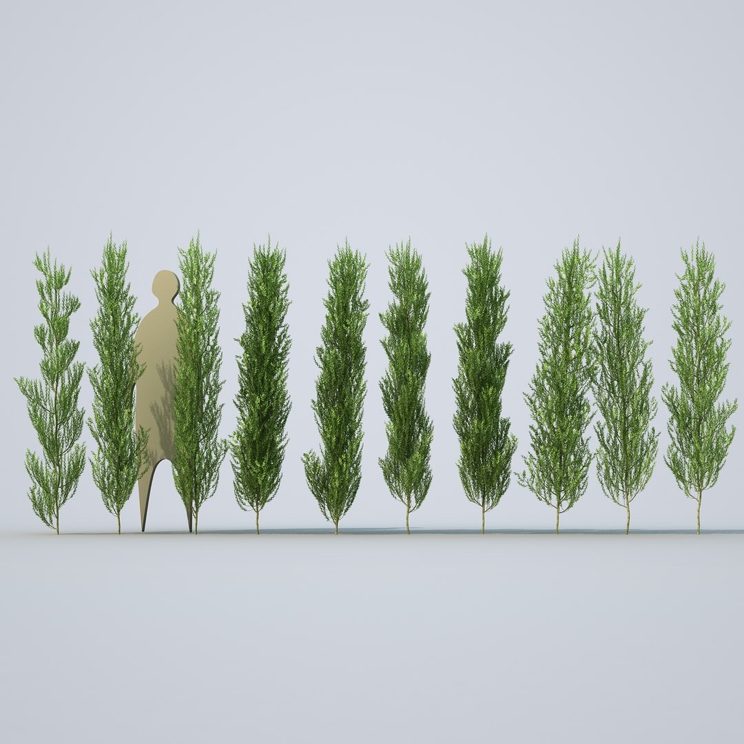 Tree scatter 3D model - TurboSquid 1173429