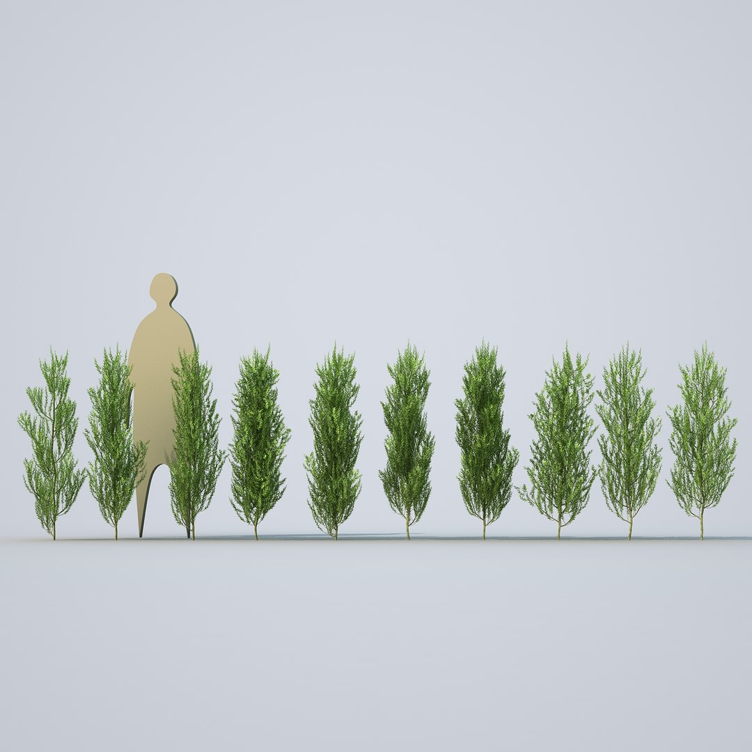 Tree scatter 3D model - TurboSquid 1173429