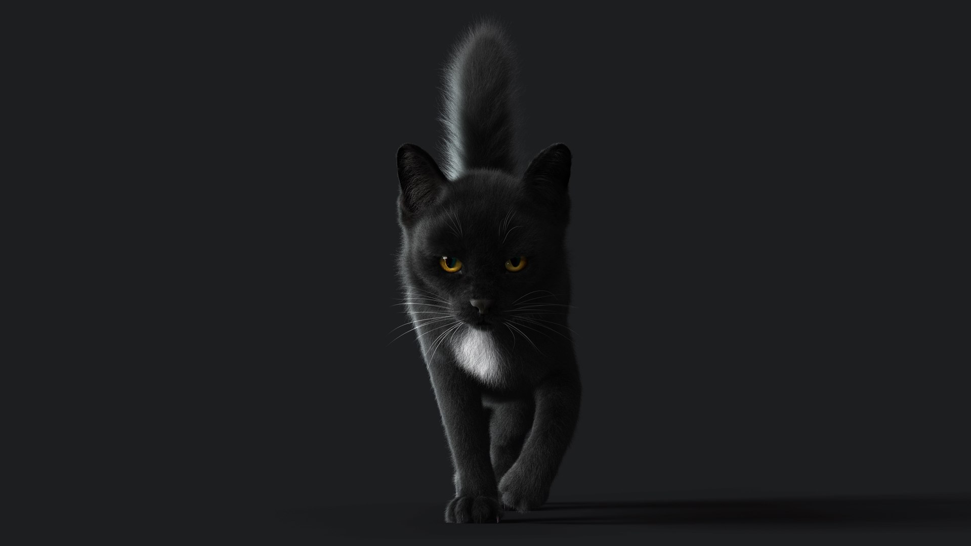 3D Cat Black RIG - YETI Version - TurboSquid 2117790