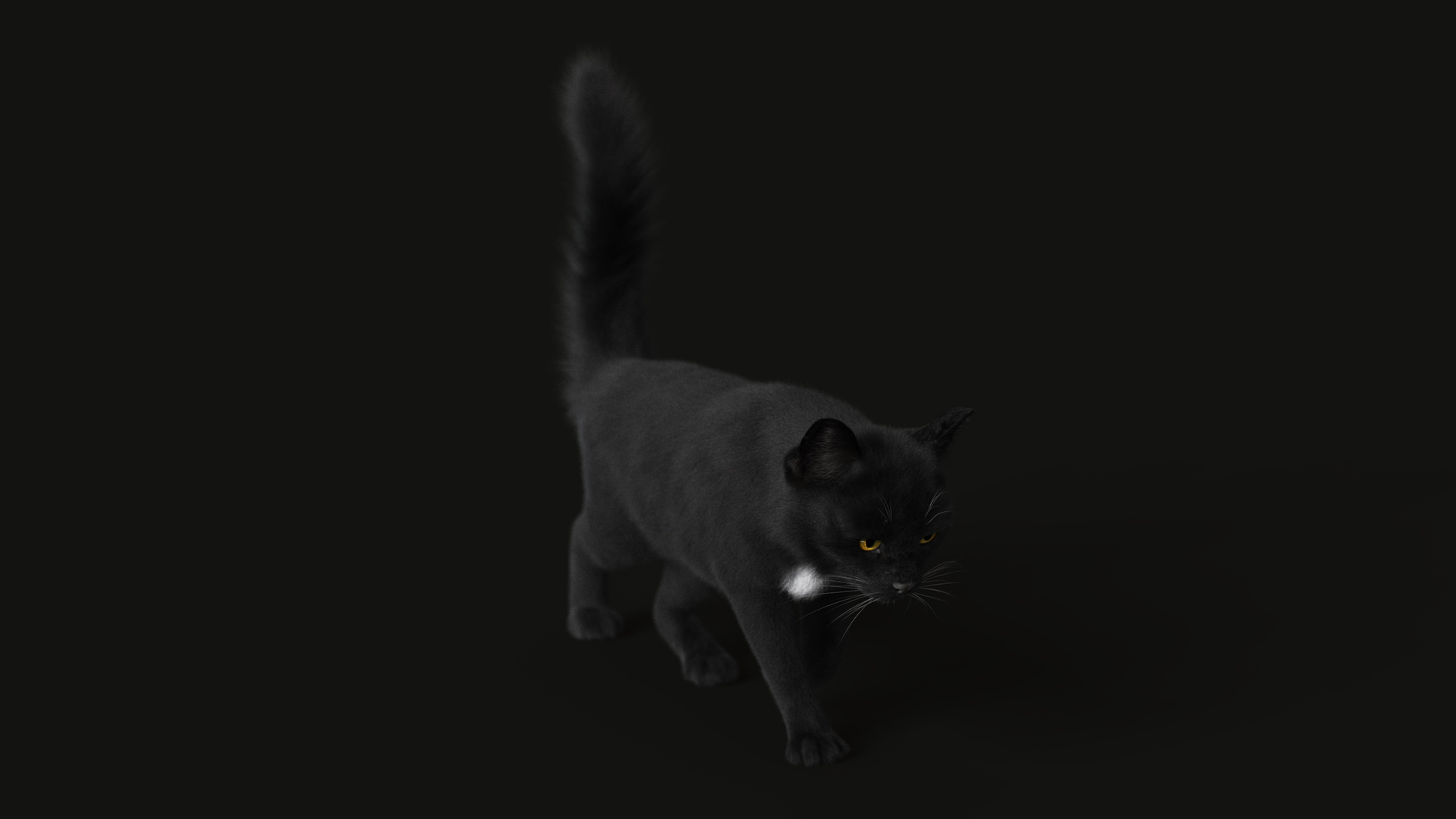 3D Cat Black RIG - YETI Version - TurboSquid 2117790