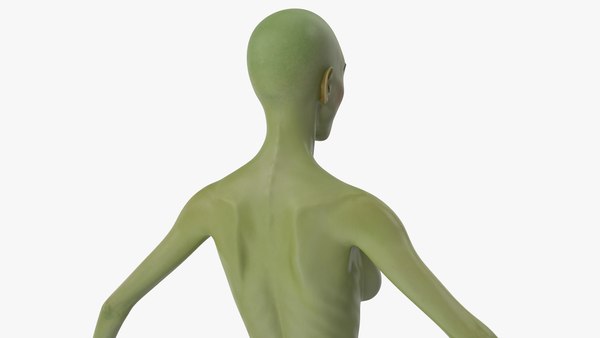 modelo 3d bruja 5 - TurboSquid 2140700
