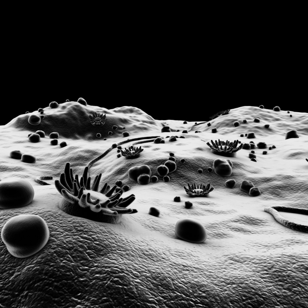 3d Microscopic Environment Bacteria Model