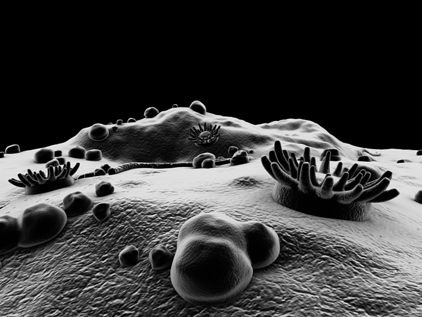 3d Microscopic Environment Bacteria Model