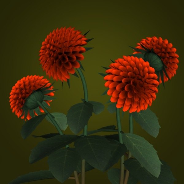 3D Dahlia Models | TurboSquid