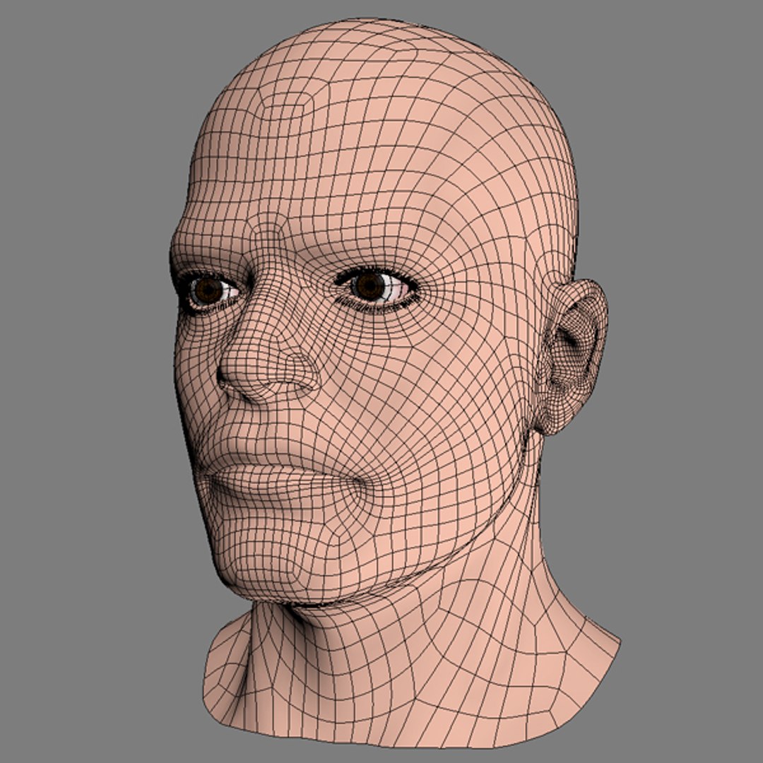 Lightwave Human Male Head Anatomy