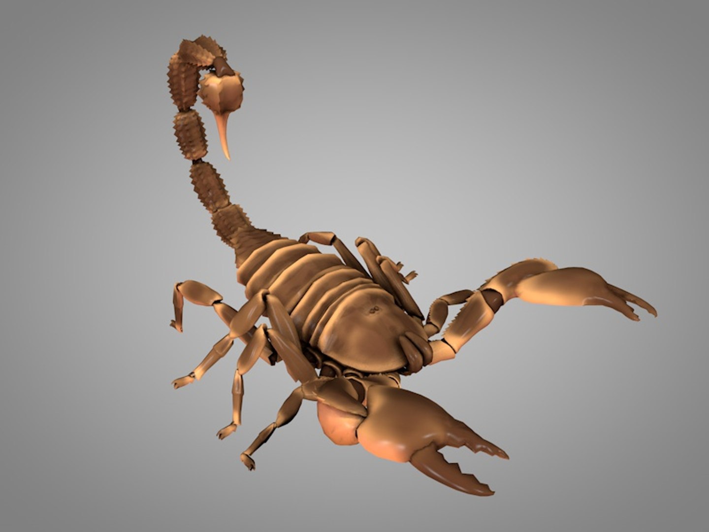 3D Scorpion Scorpio - TurboSquid 1549332