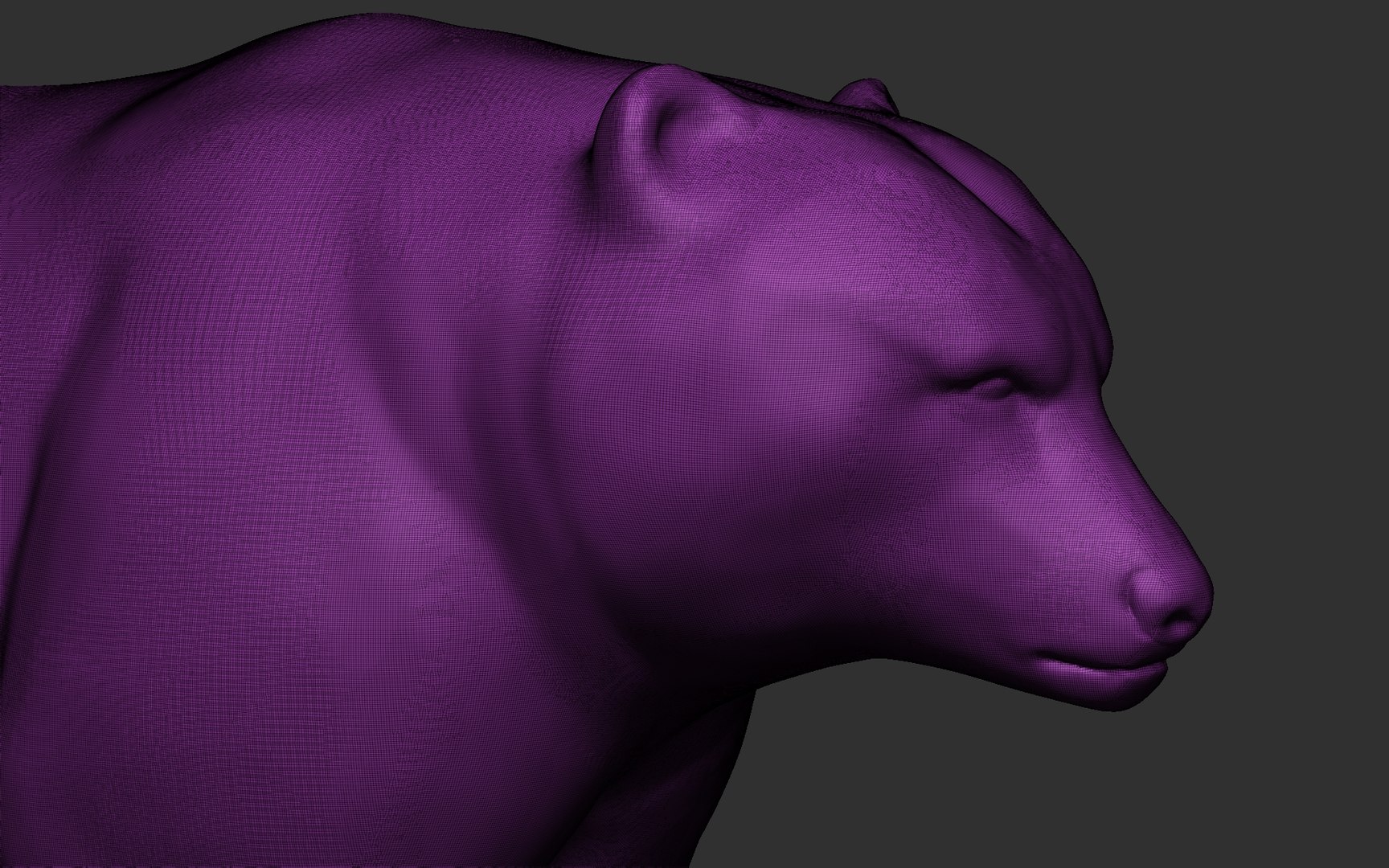 3D Bear Base Mesh Model - TurboSquid 1827389