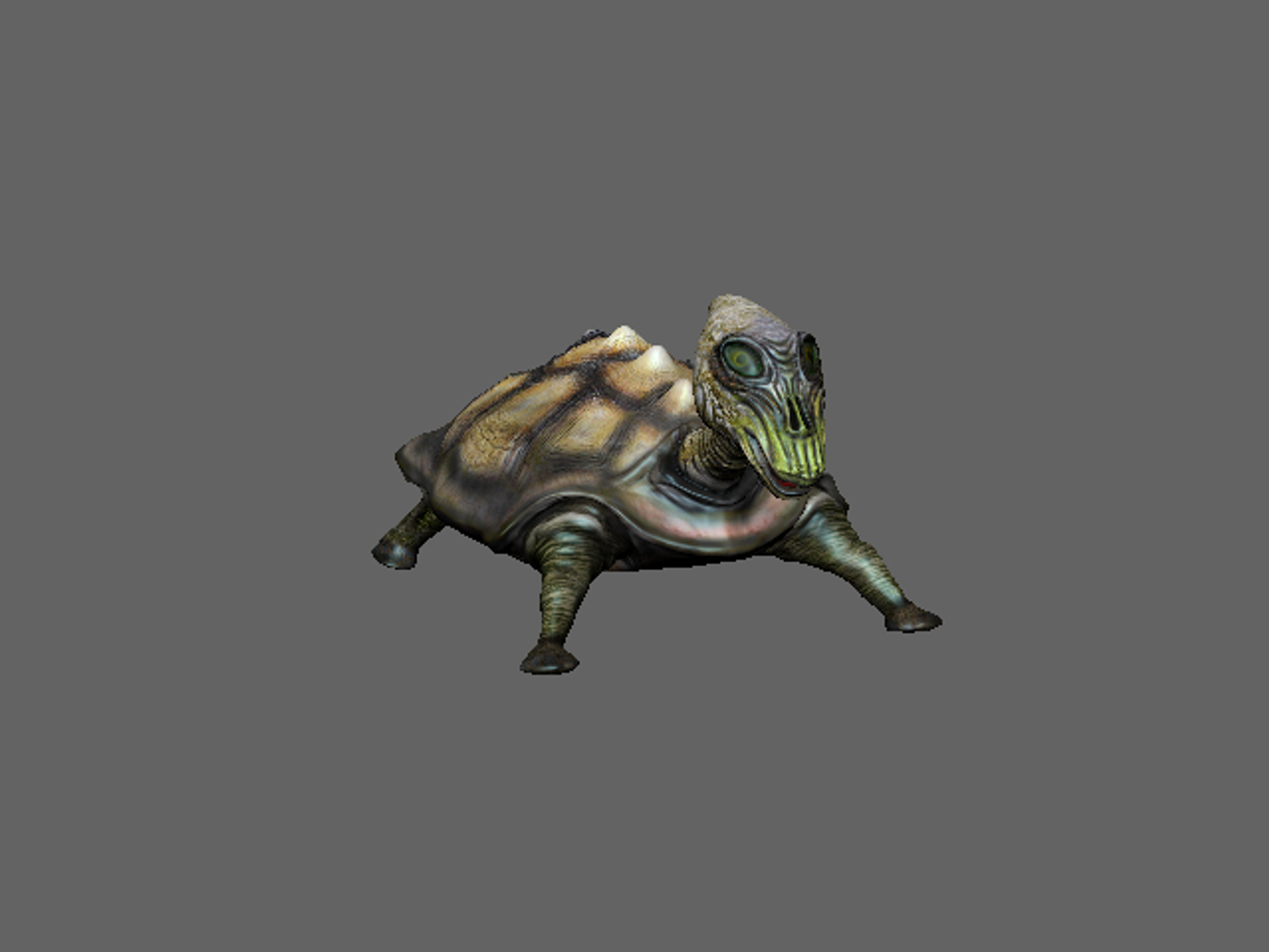 3d 3ds Turtle