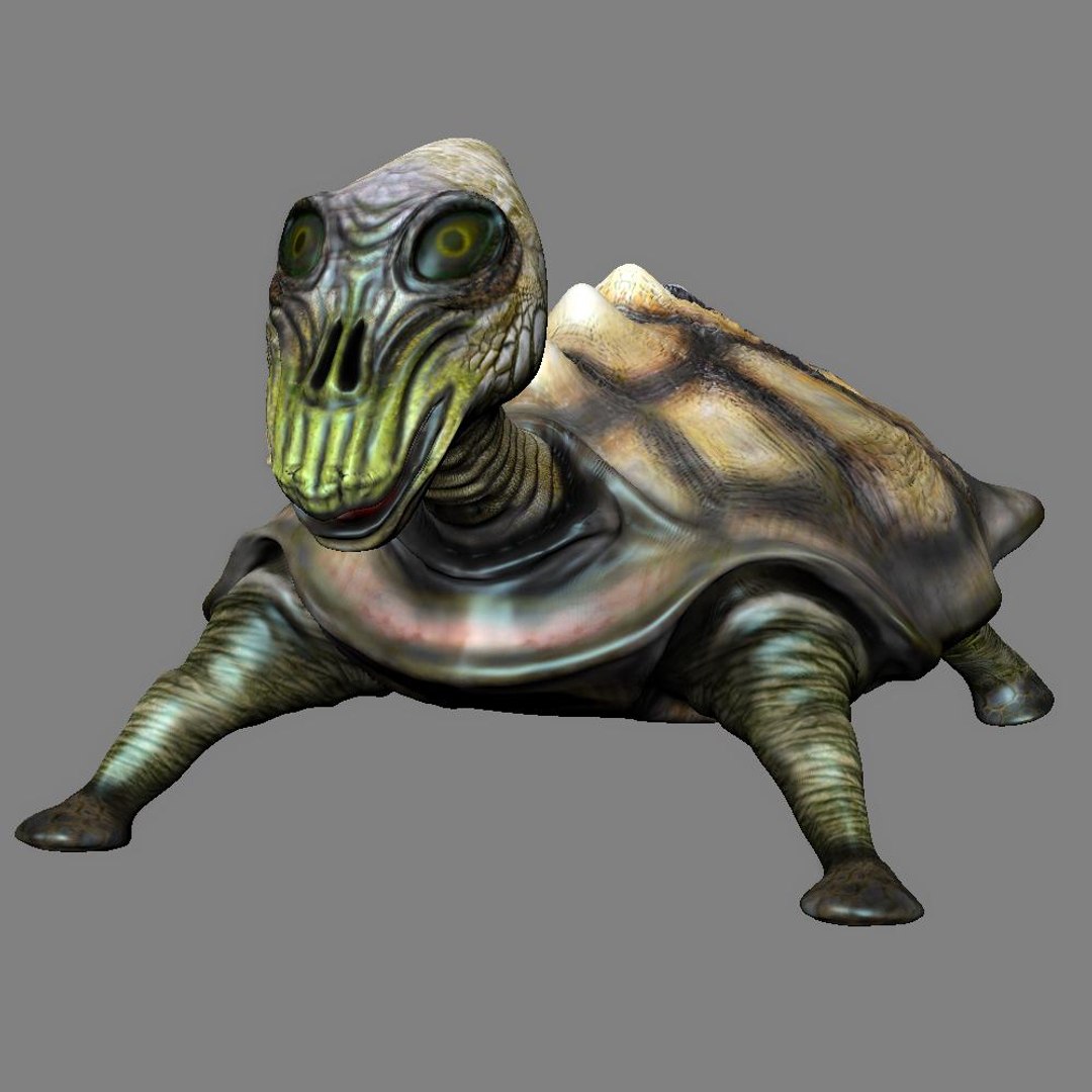 3d 3ds Turtle