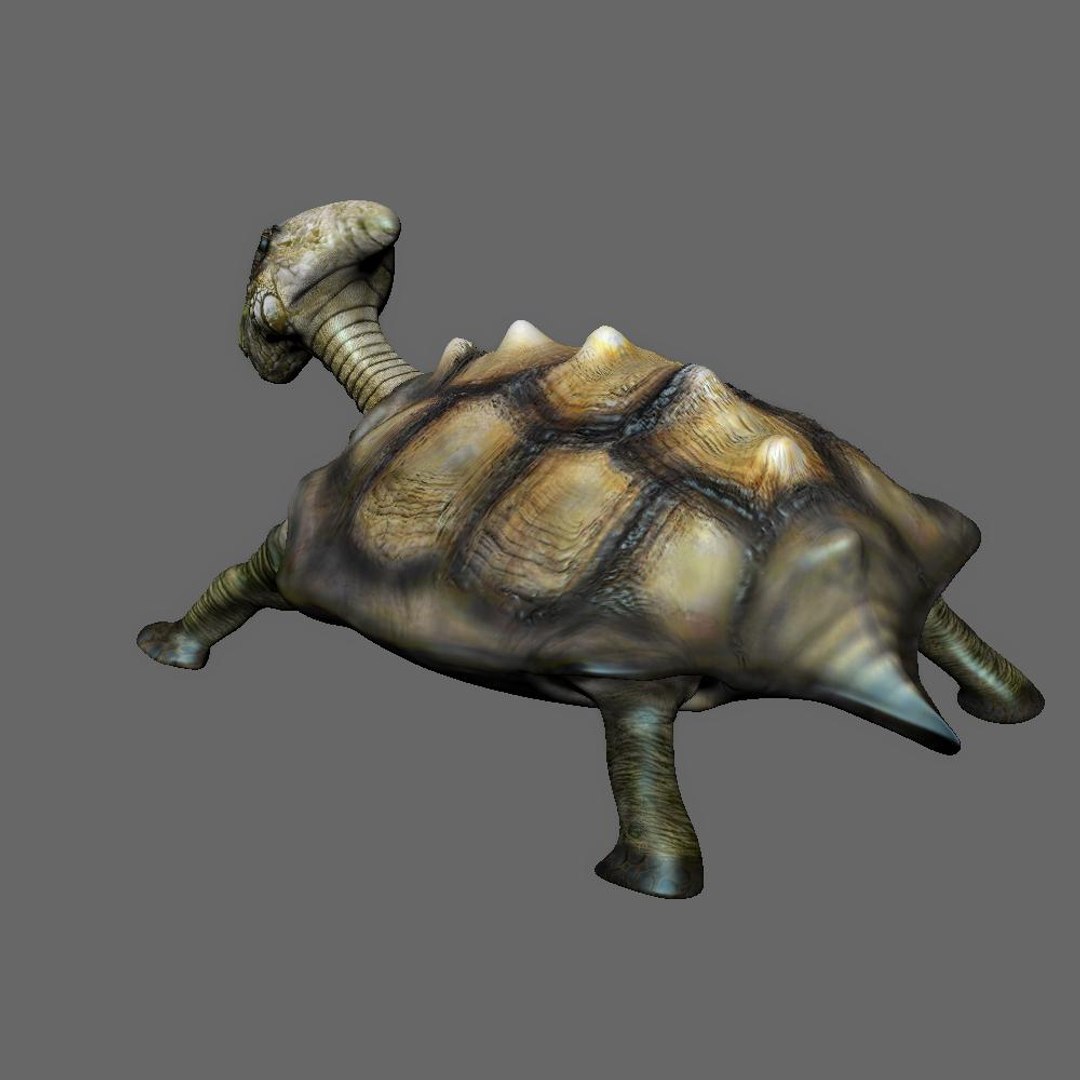 3d 3ds Turtle