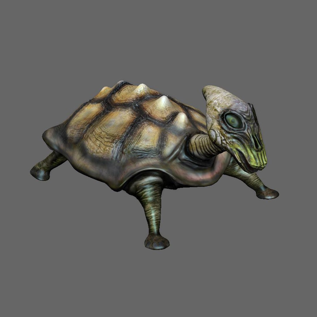 3d 3ds Turtle