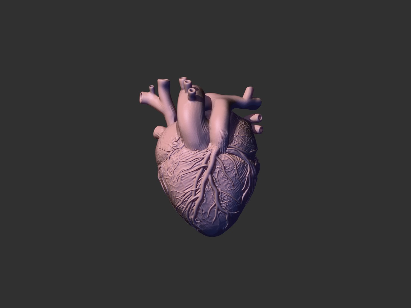 Printready Heart 3D Model - TurboSquid 1814988