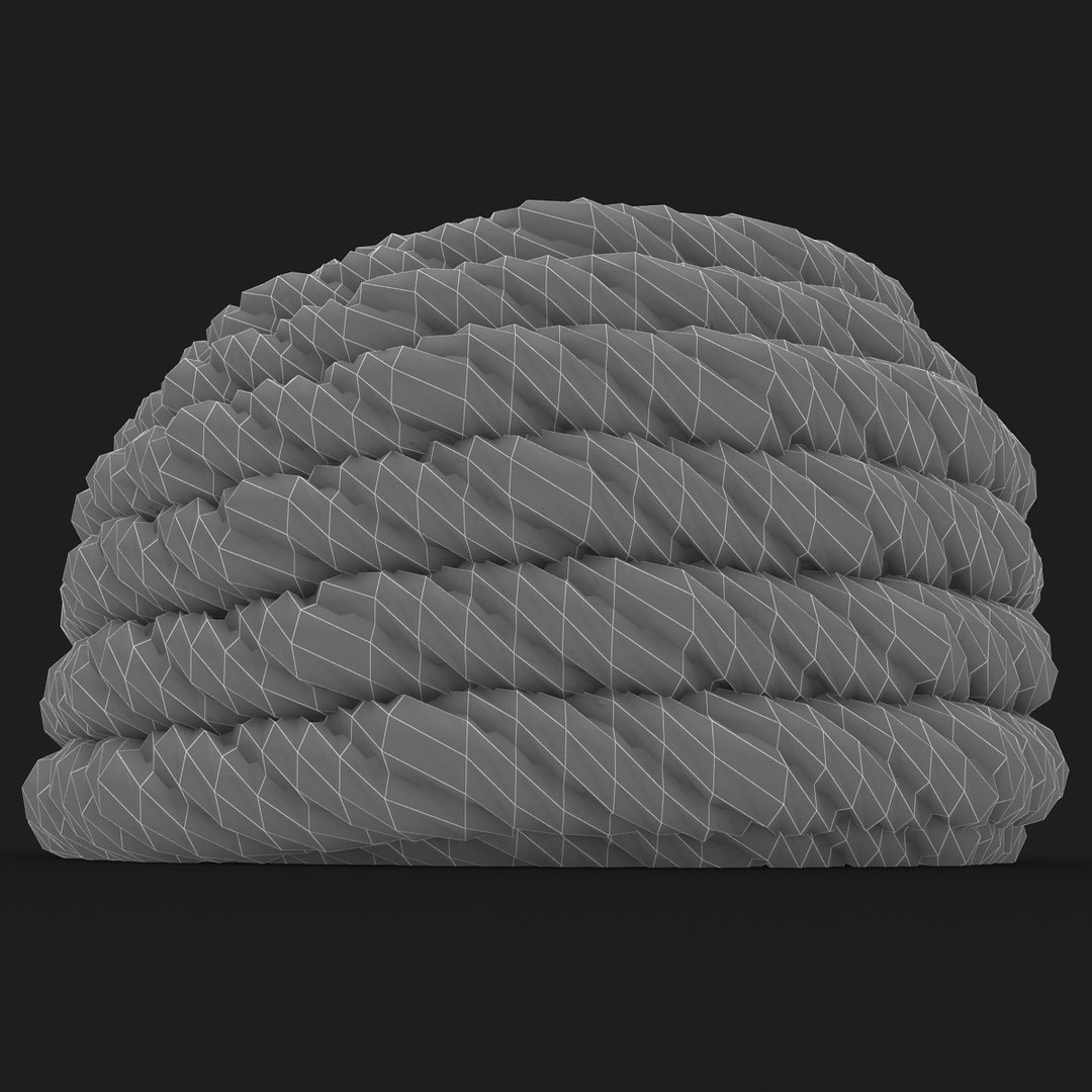 Rope Scanline 3D Model - TurboSquid 1222540