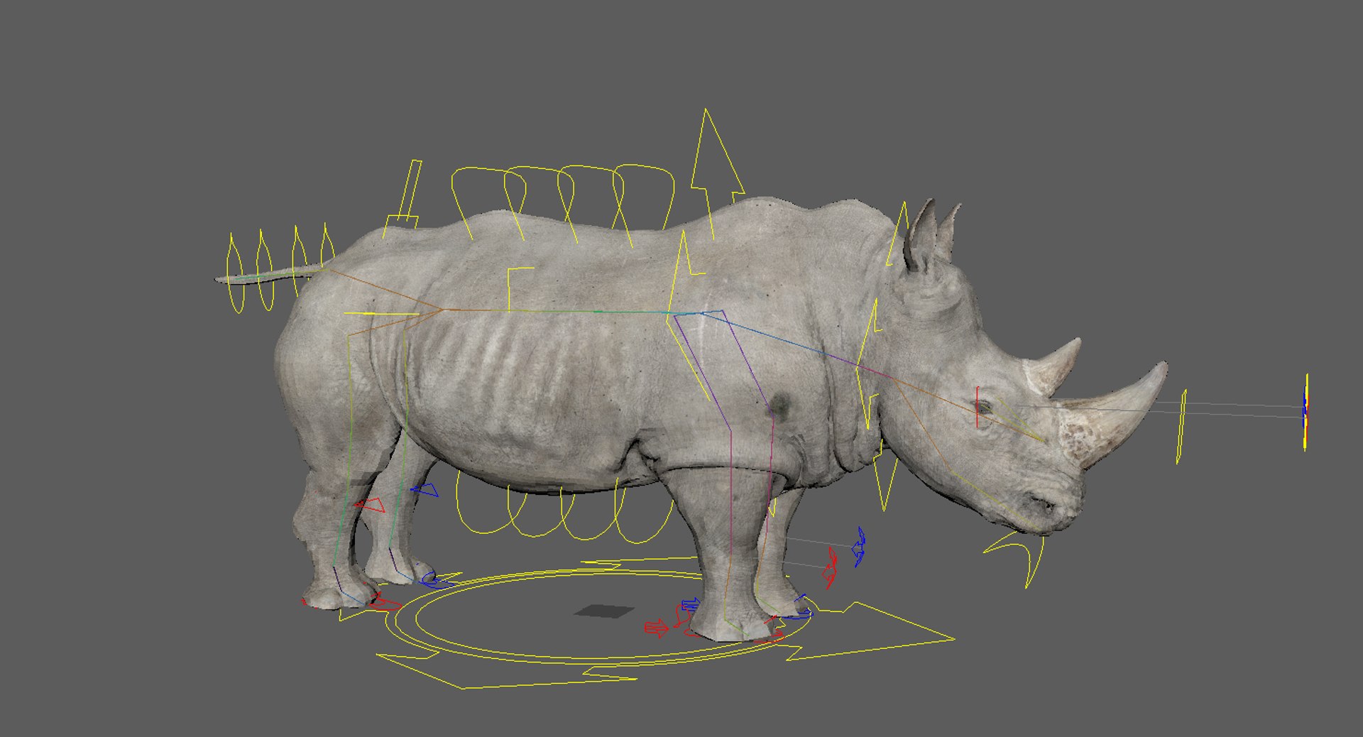 Rhino rigged model - TurboSquid 1275004
