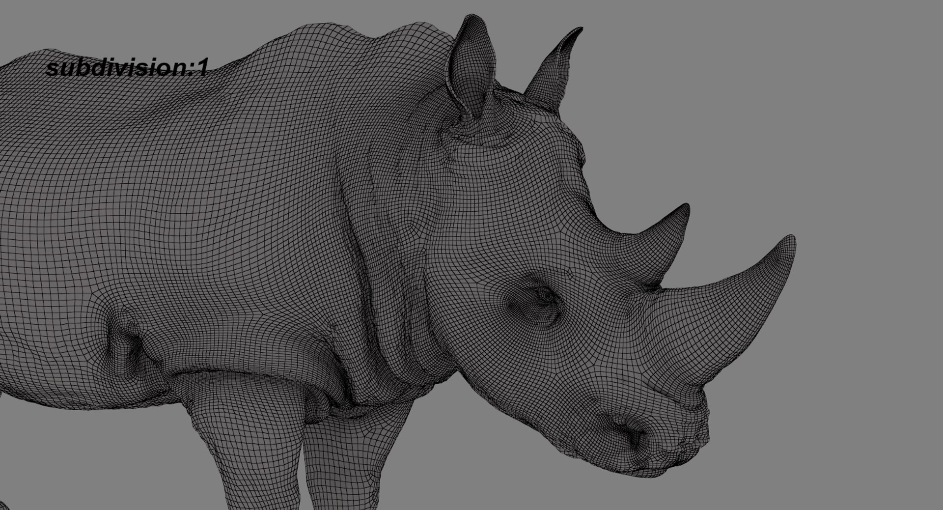Rhino rigged model - TurboSquid 1275004