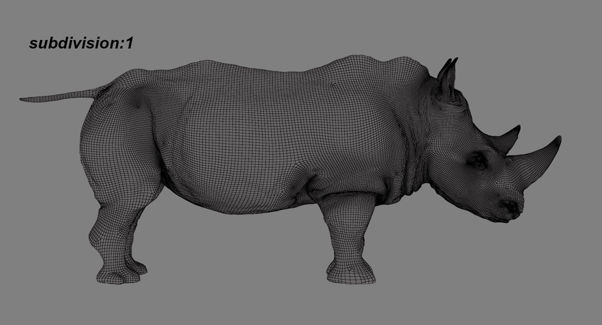 Rhino rigged model - TurboSquid 1275004