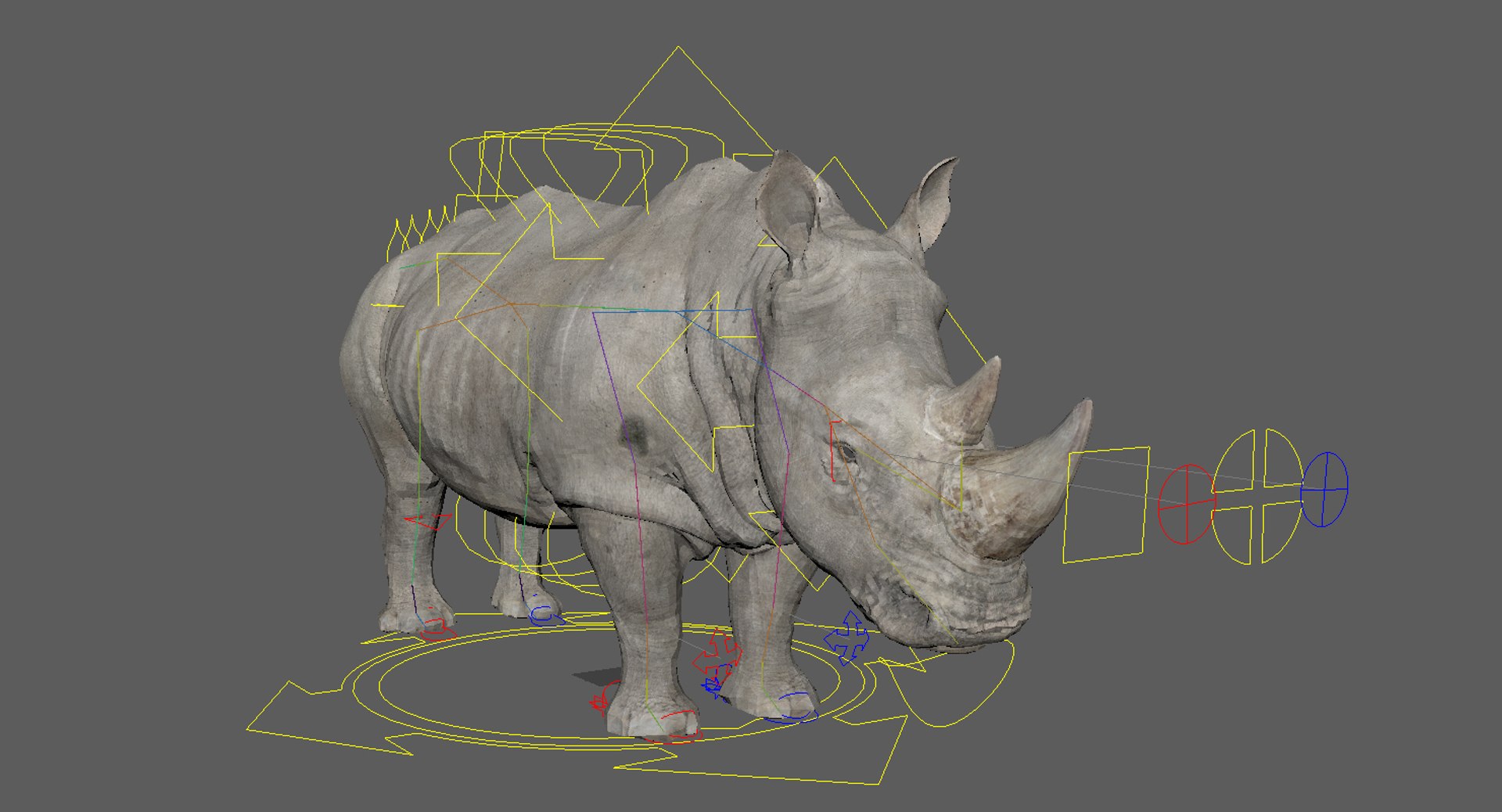 Rhino rigged model - TurboSquid 1275004