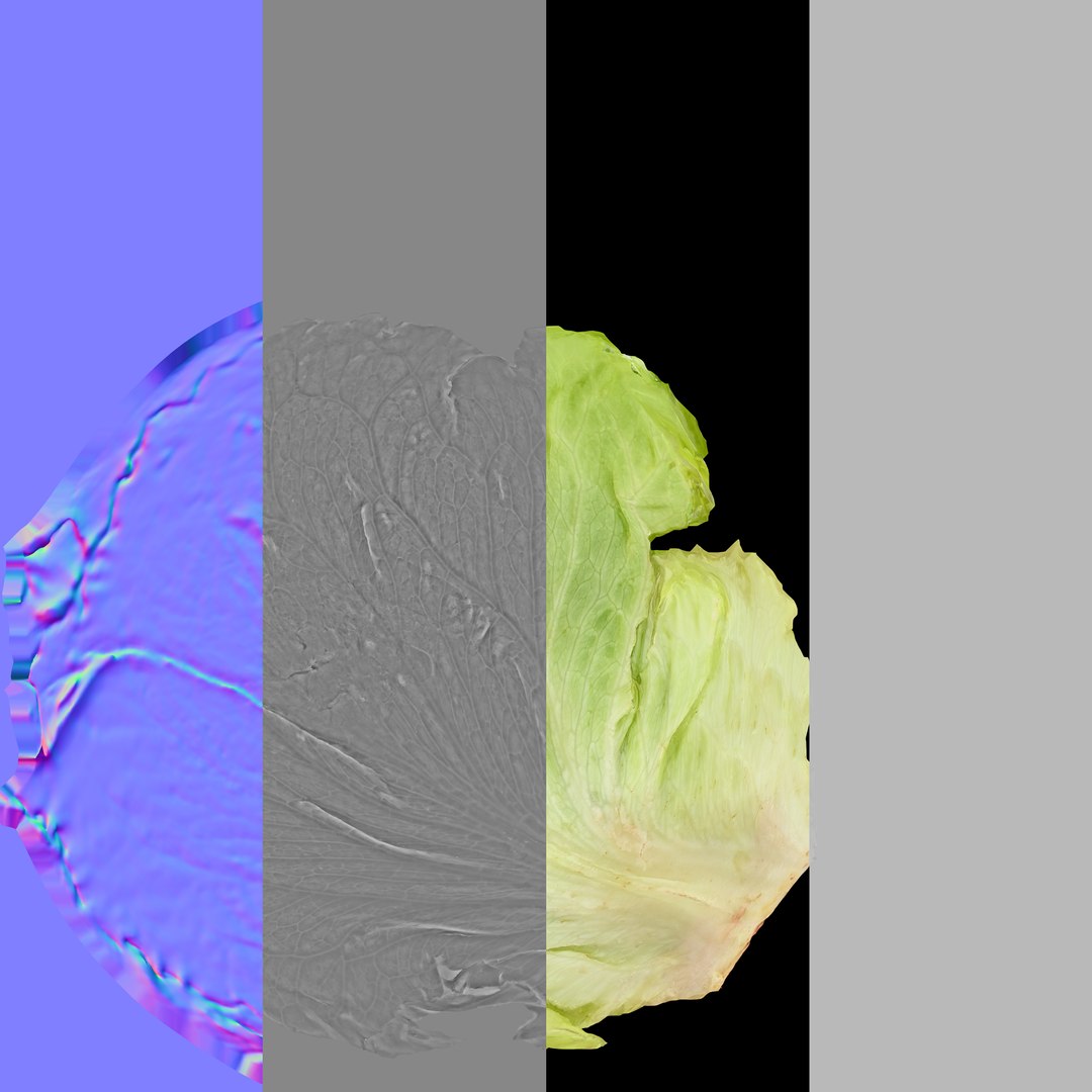 Lettuce Leaf 04 3D Model - TurboSquid 1840028