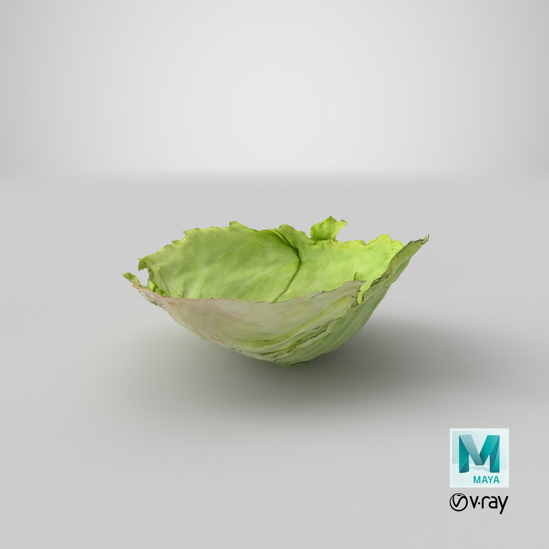 Lettuce Leaf 04 3D model - TurboSquid 1840028