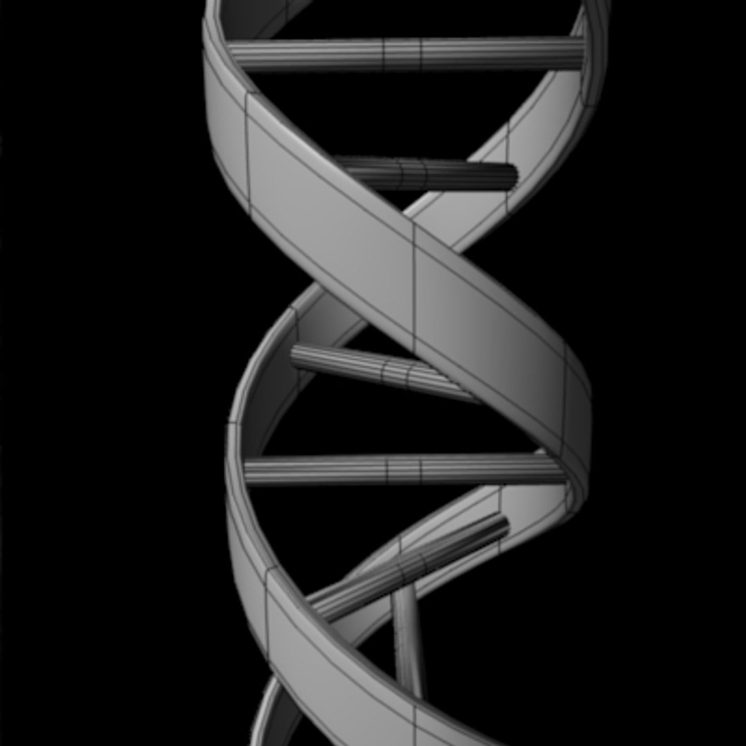 3d Model Dna Cell