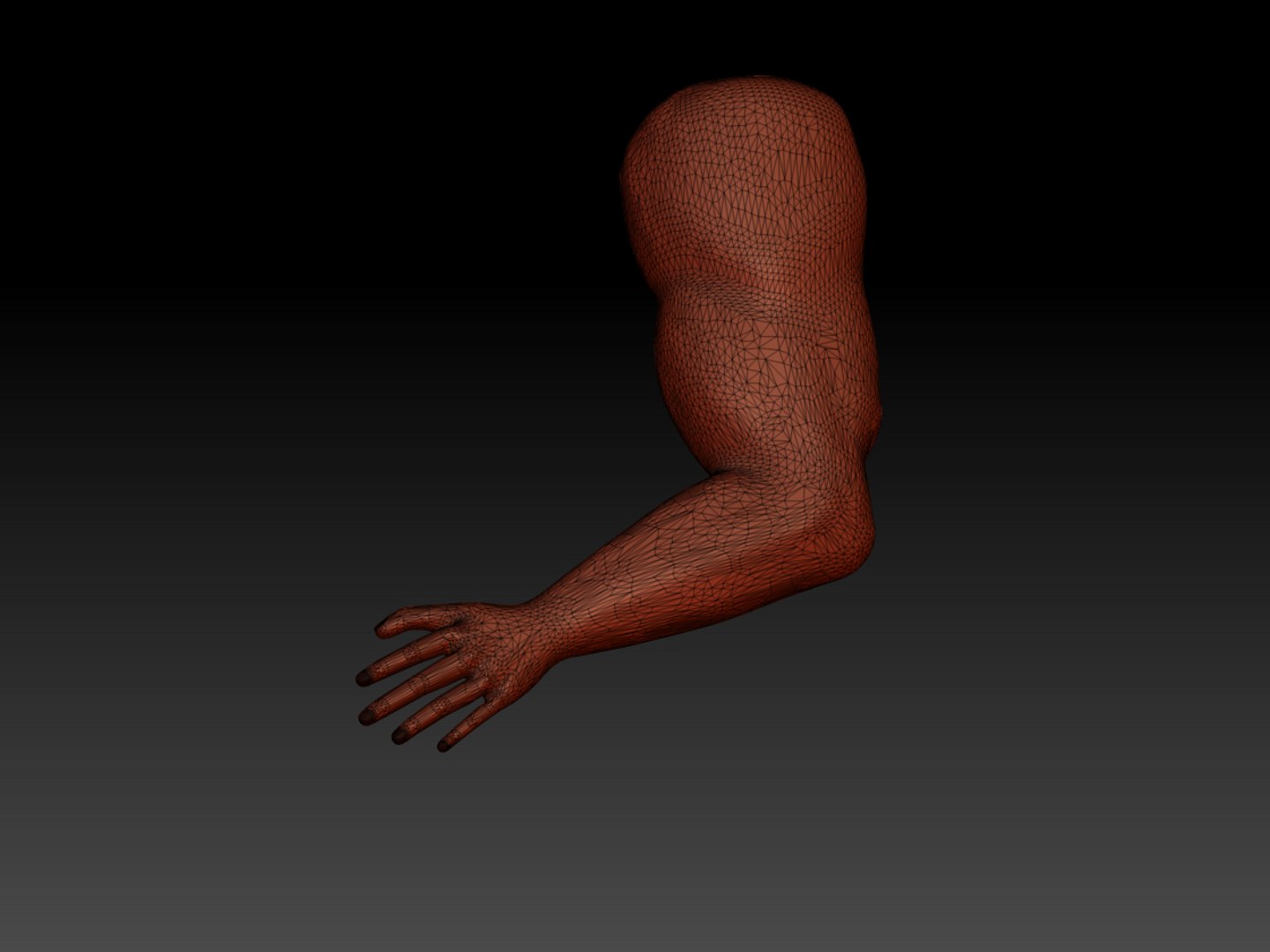 Human Arm Obj