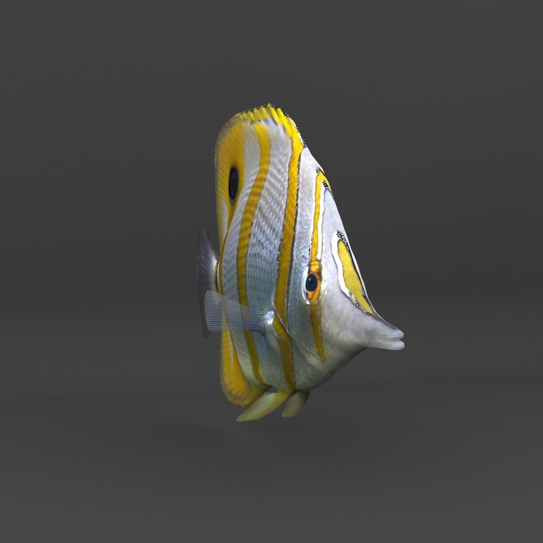 Fish Animation 3d Model