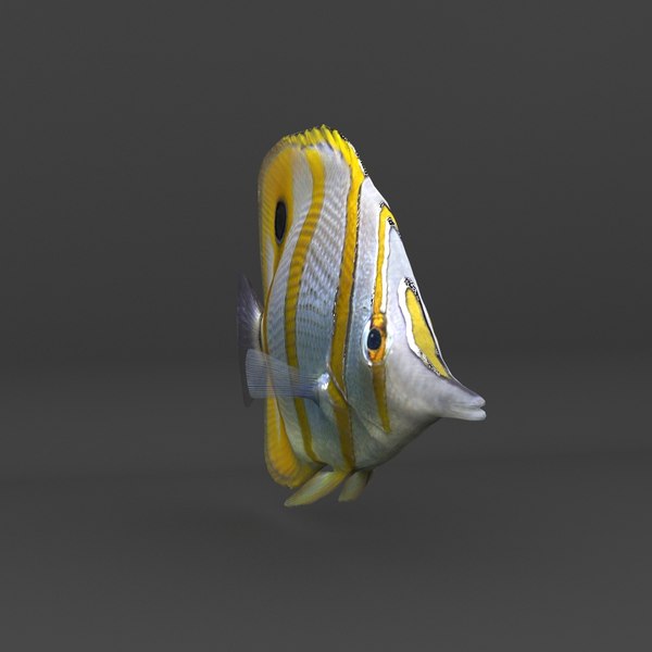 fish animation 3d model