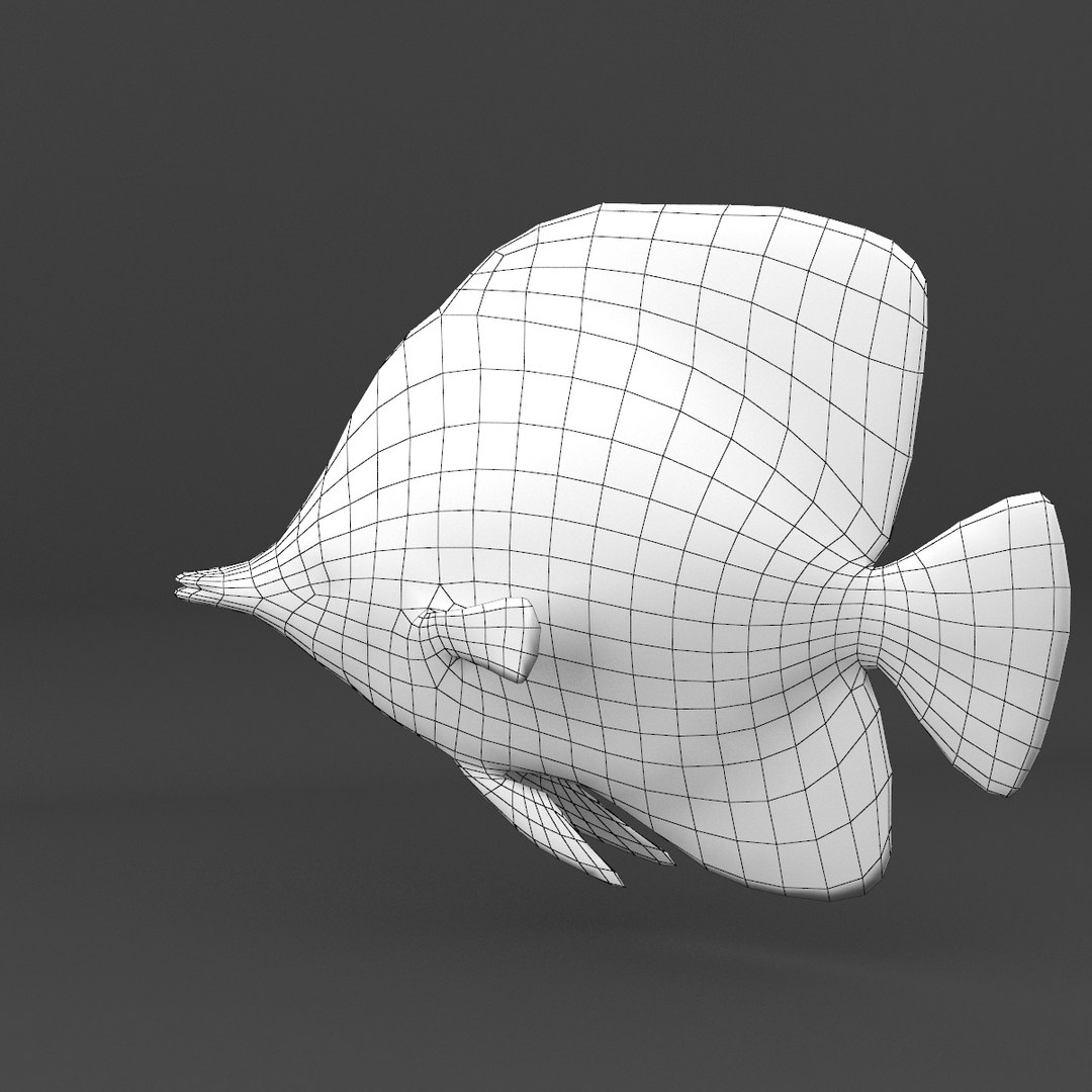 fish animation 3d model