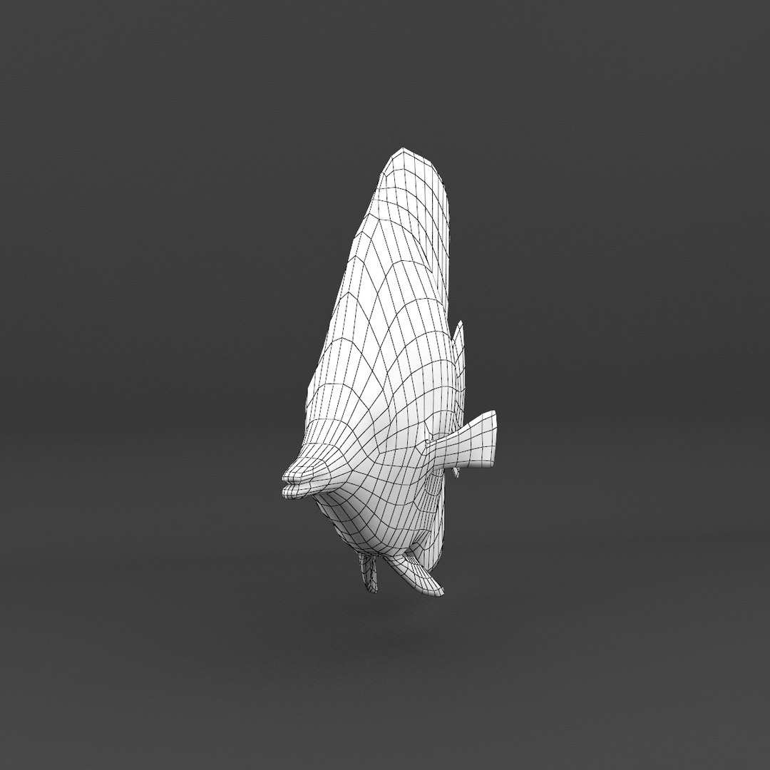 fish animation 3d model