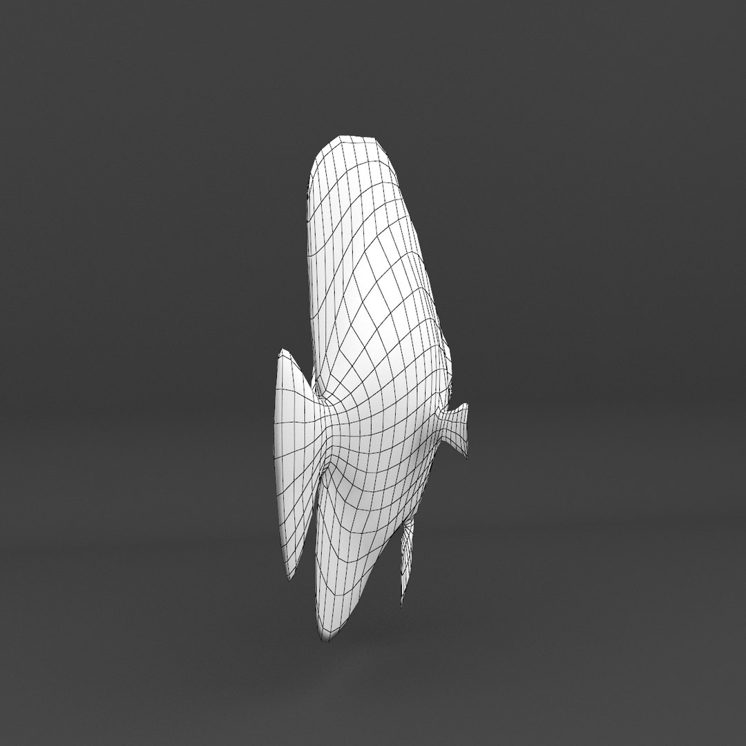 Fish Animation 3d Model