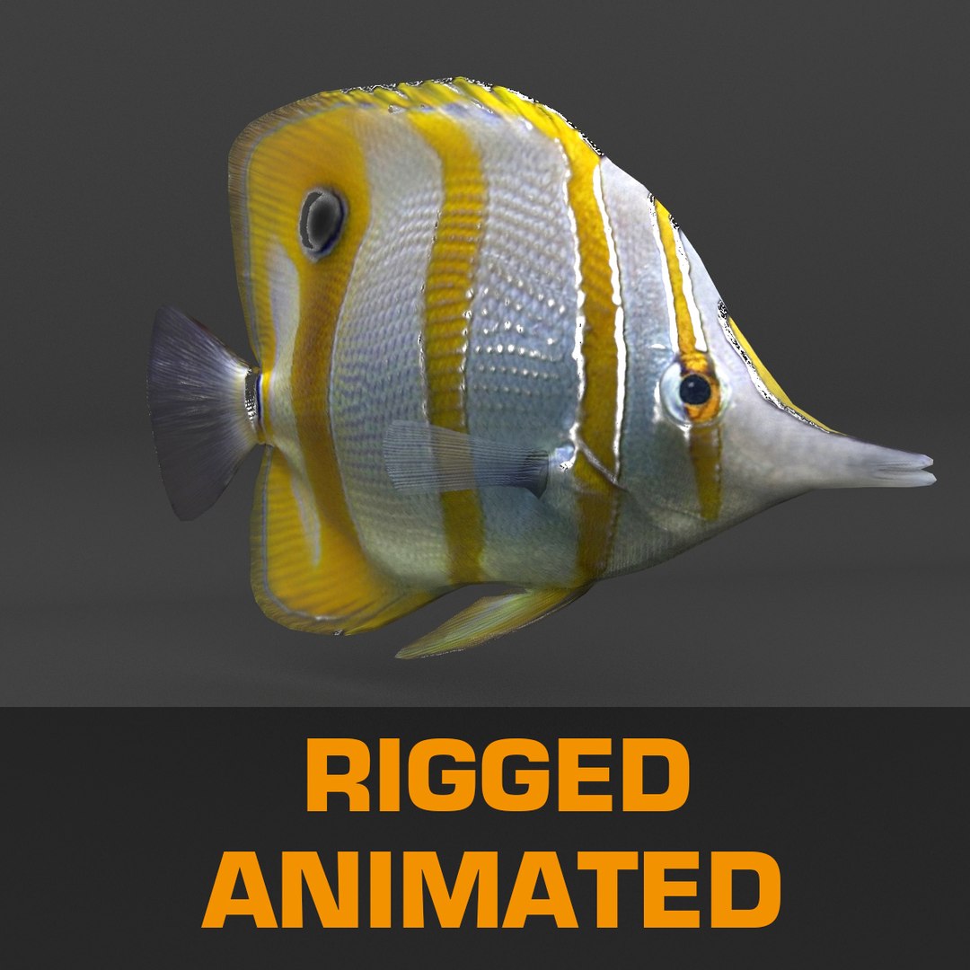 fish animation 3d model
