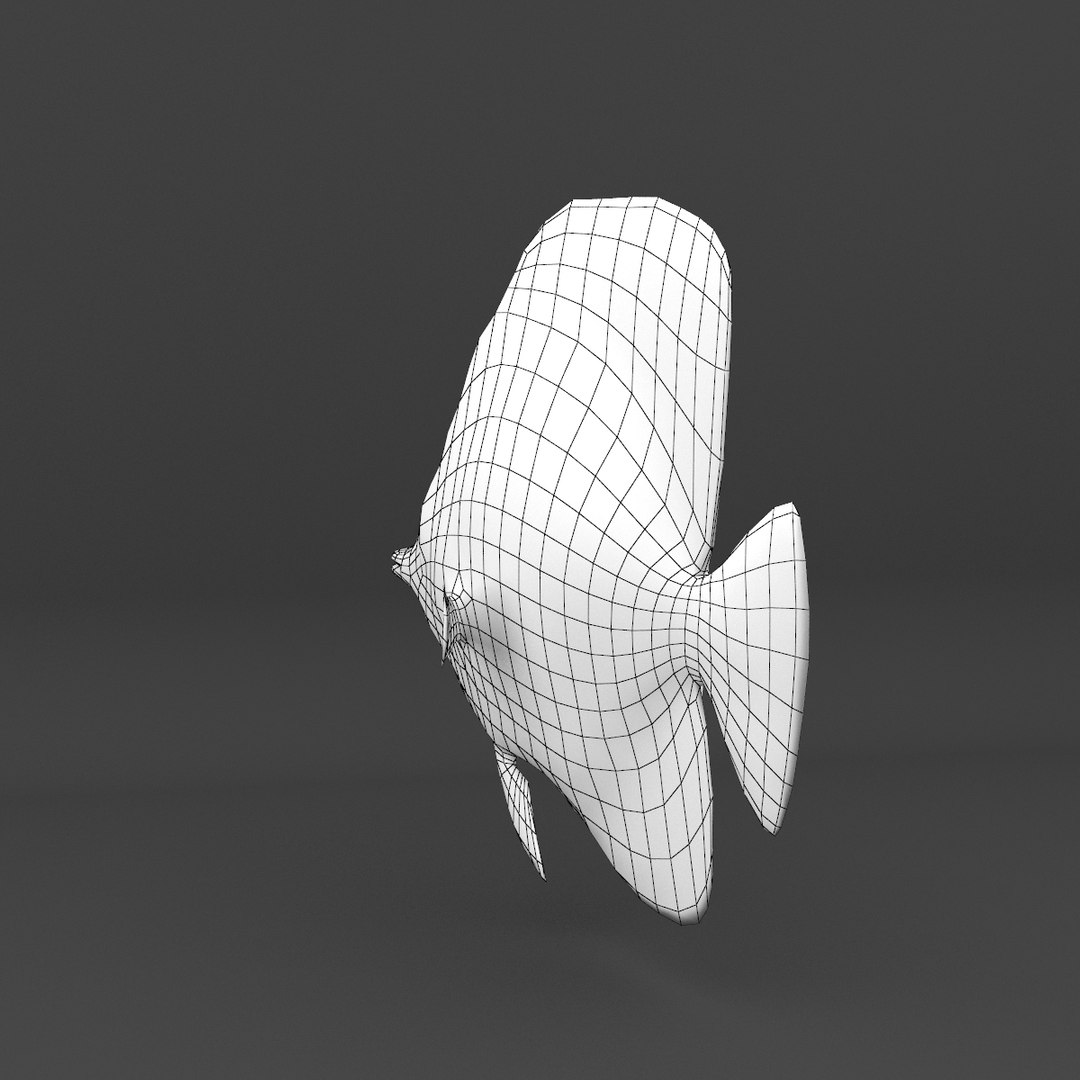 fish animation 3d model