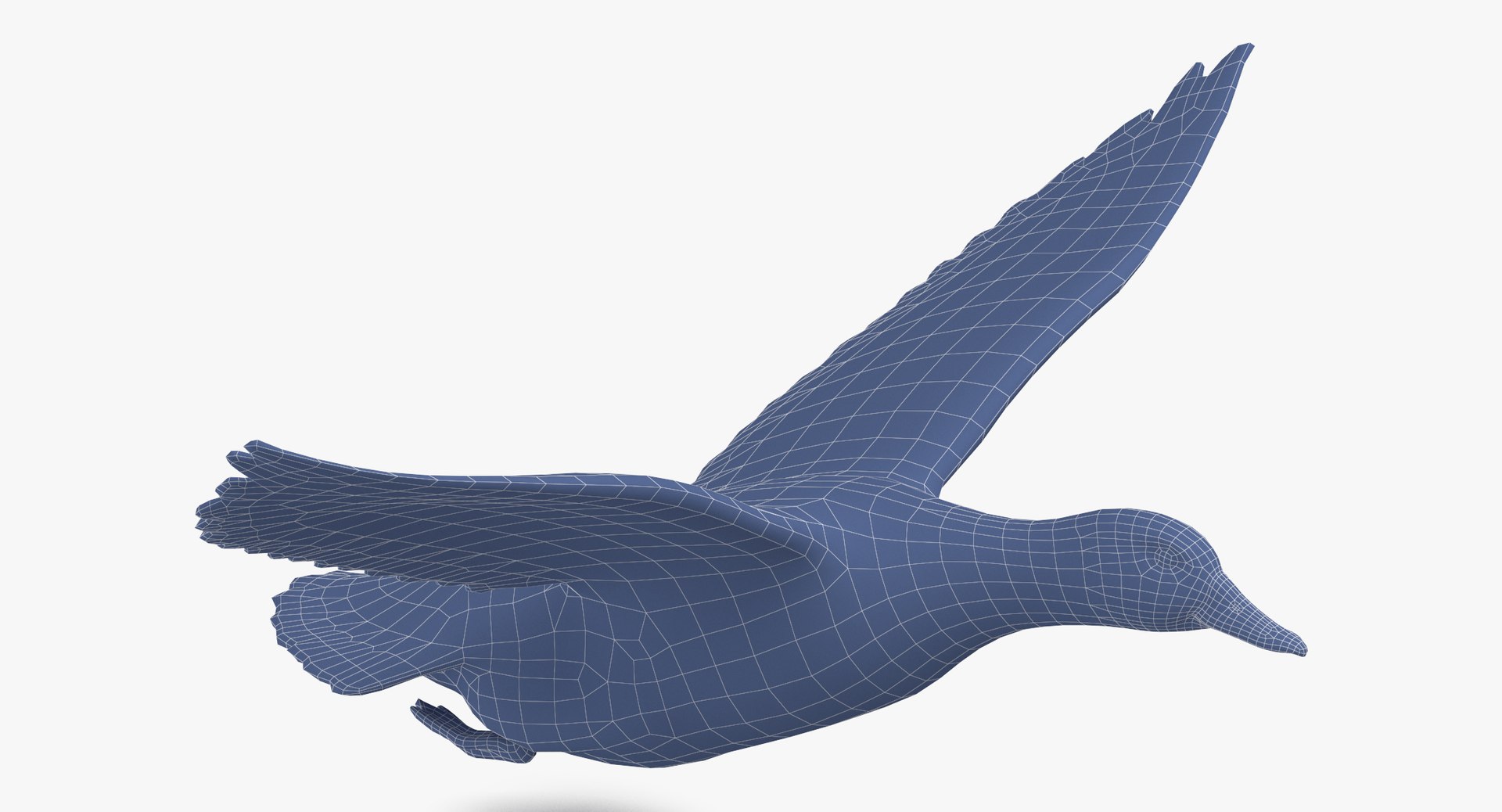 Flying Duck Model - TurboSquid 1312282