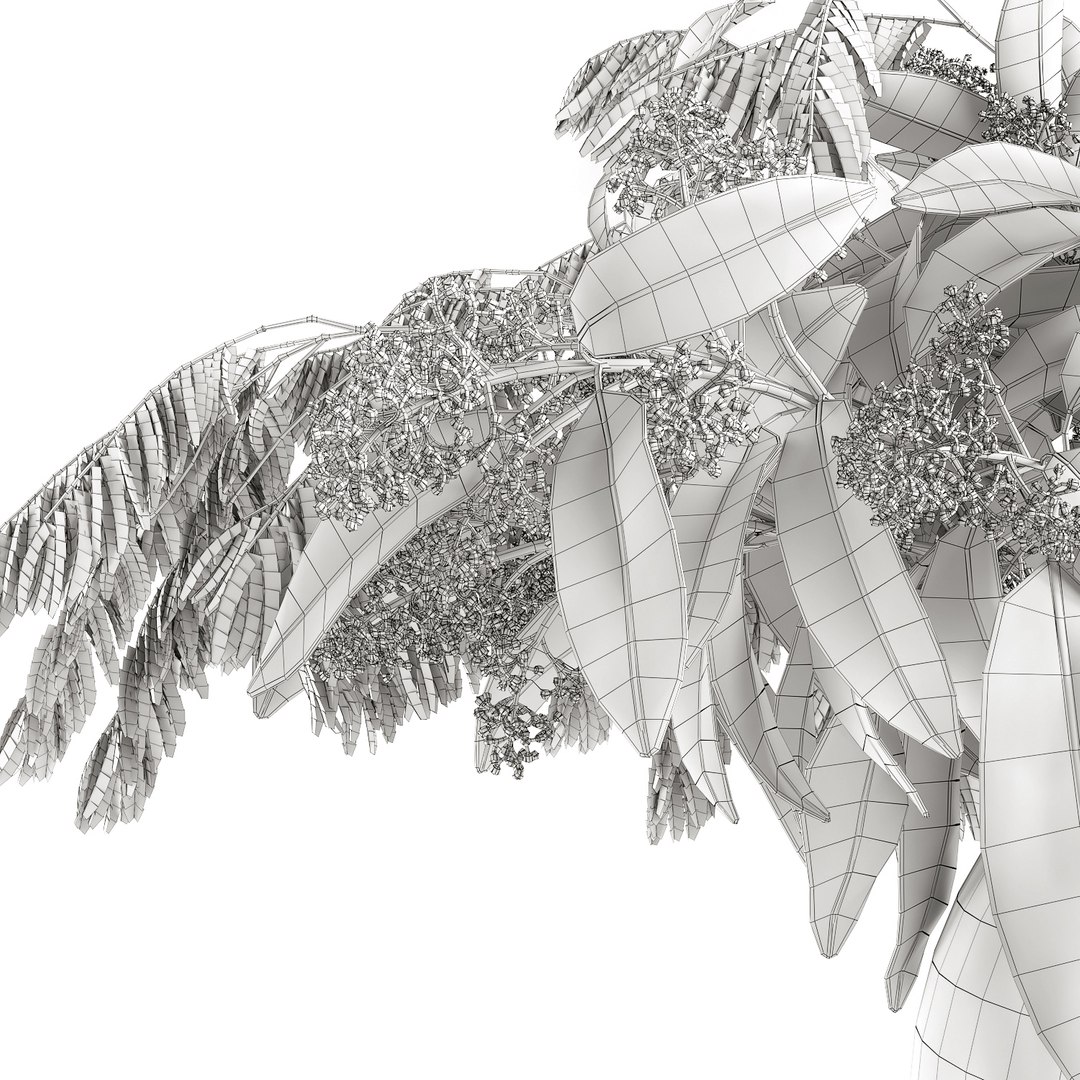 L Aroma Di Roma 3D Model - TurboSquid 1991383