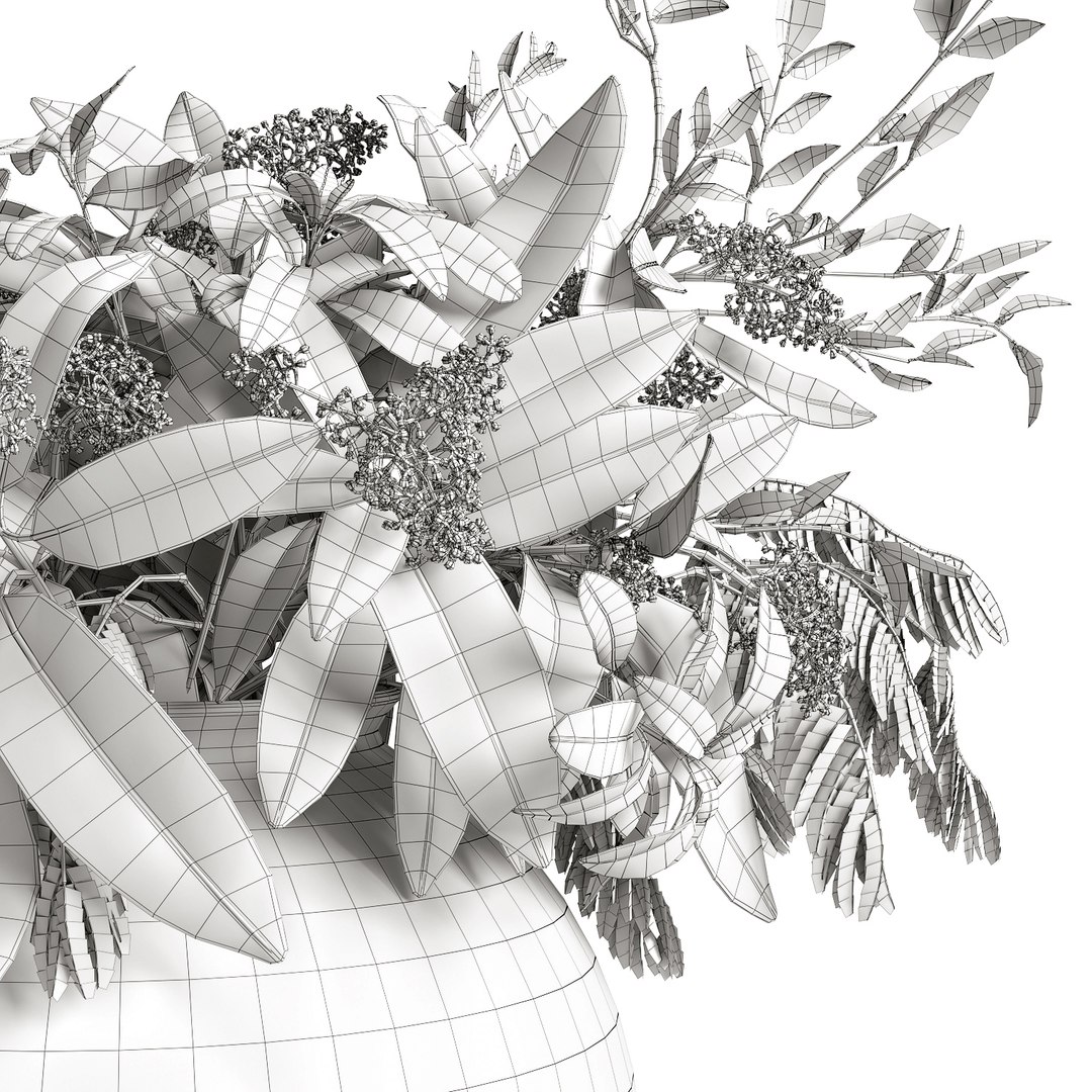 L Aroma Di Roma 3D Model - TurboSquid 1991383