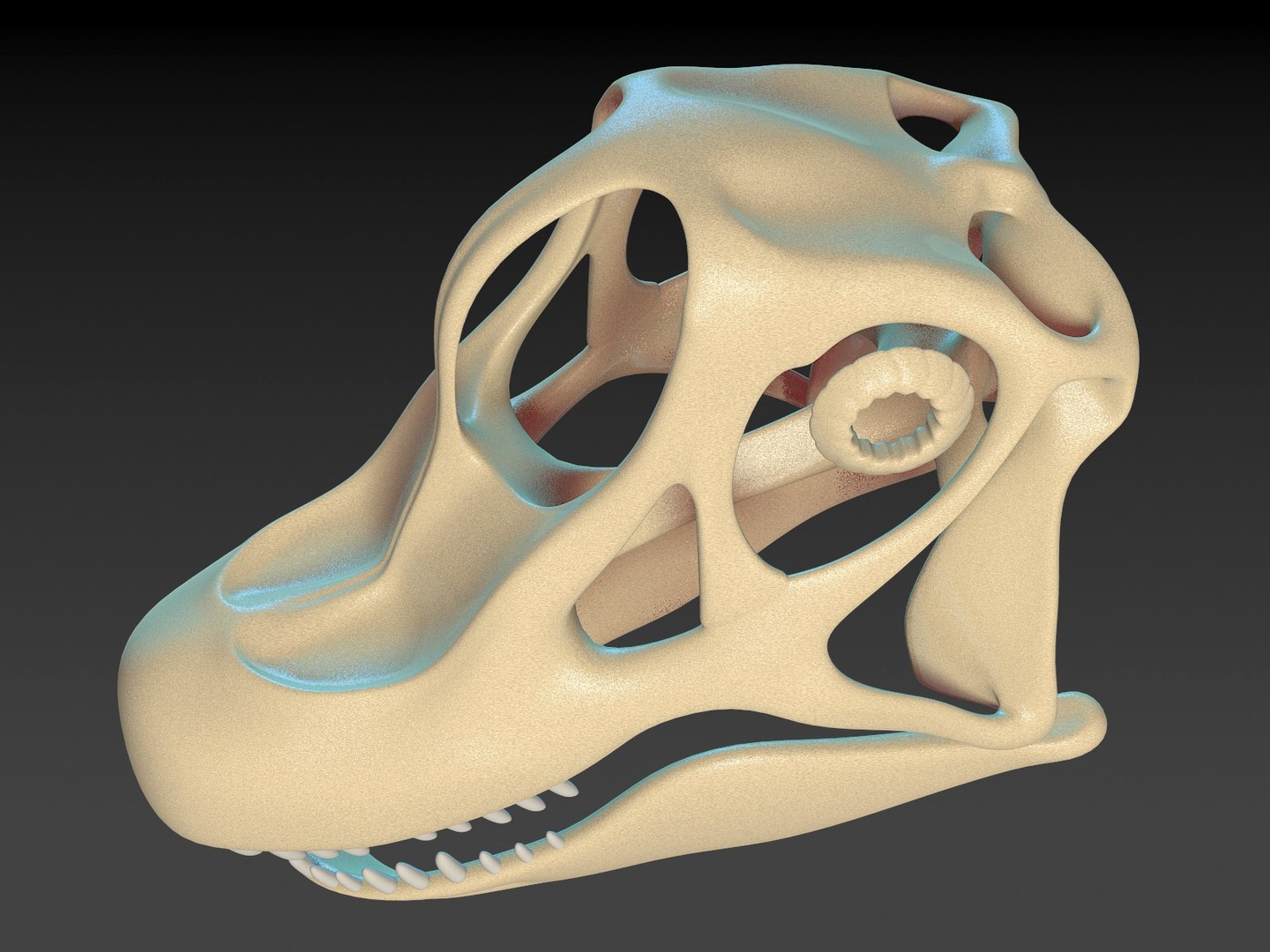 Brachiosaurus skull model - TurboSquid 1228861