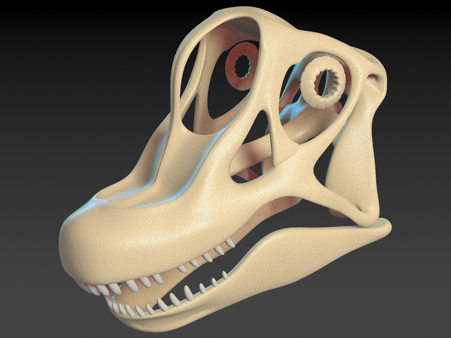 Brachiosaurus skull model - TurboSquid 1228861