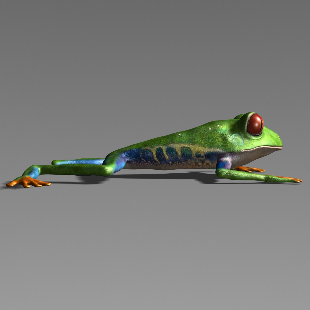 Exotic Tree Frog Model - TurboSquid 1424292