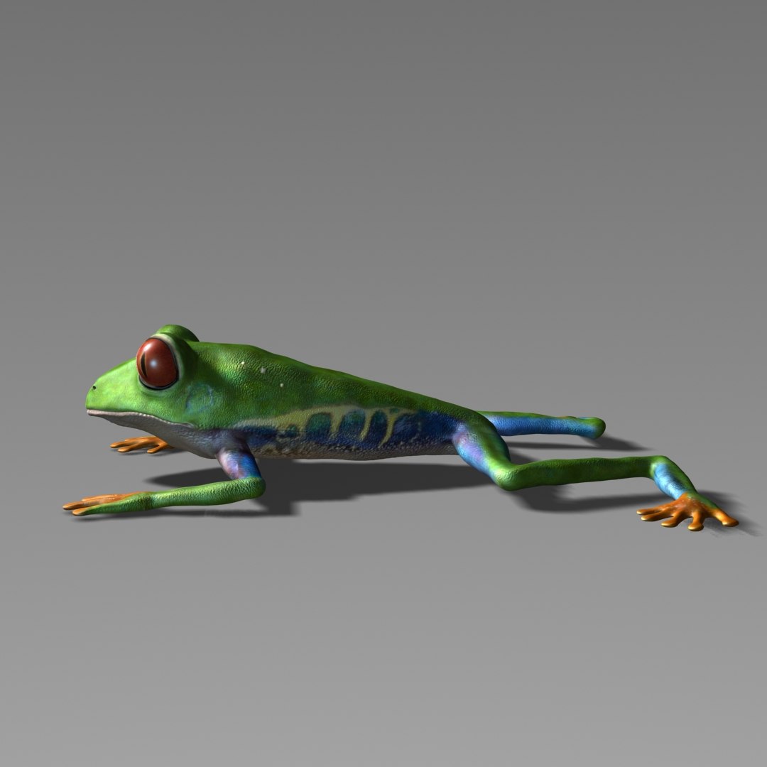 Exotic Tree Frog Model - TurboSquid 1424292