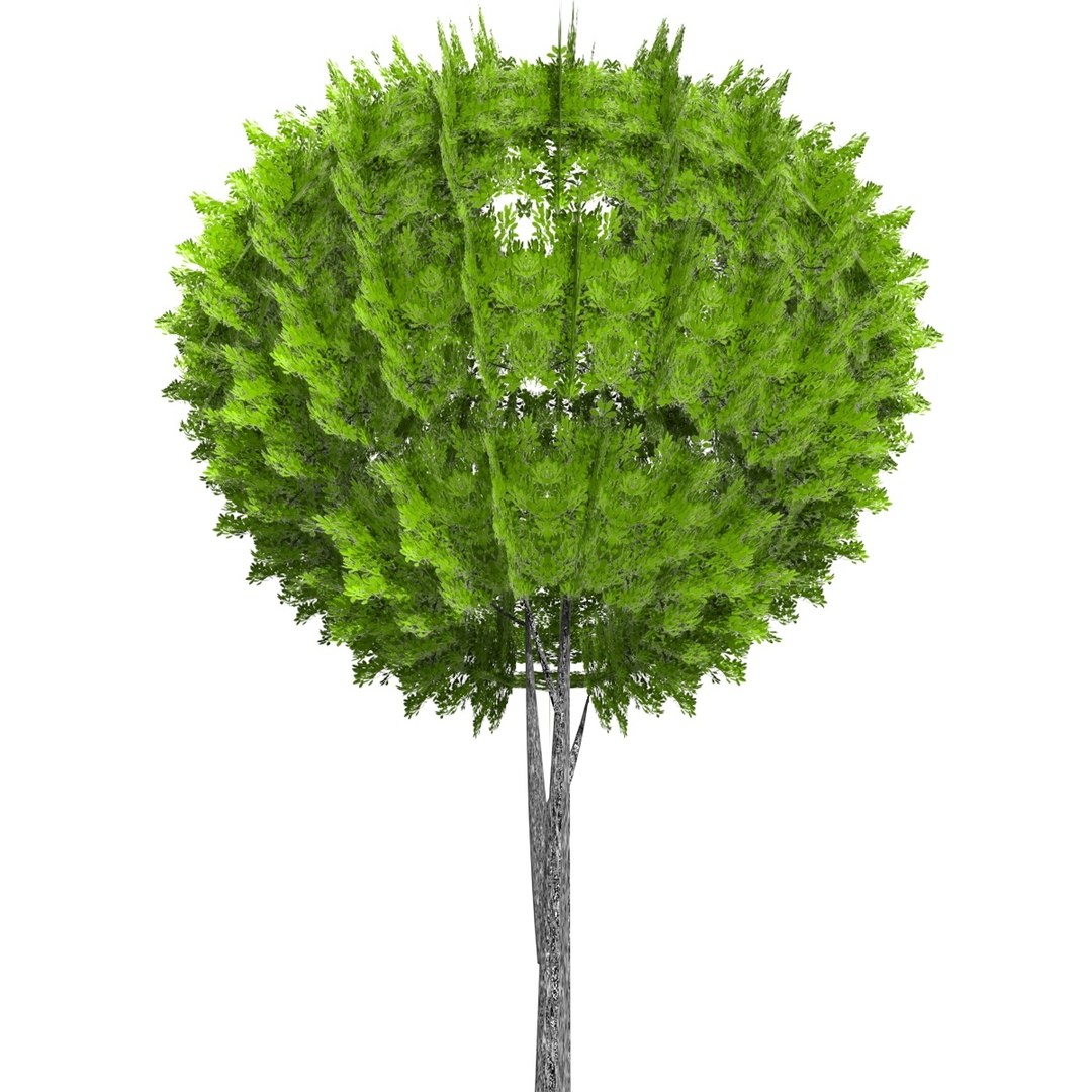 tree model