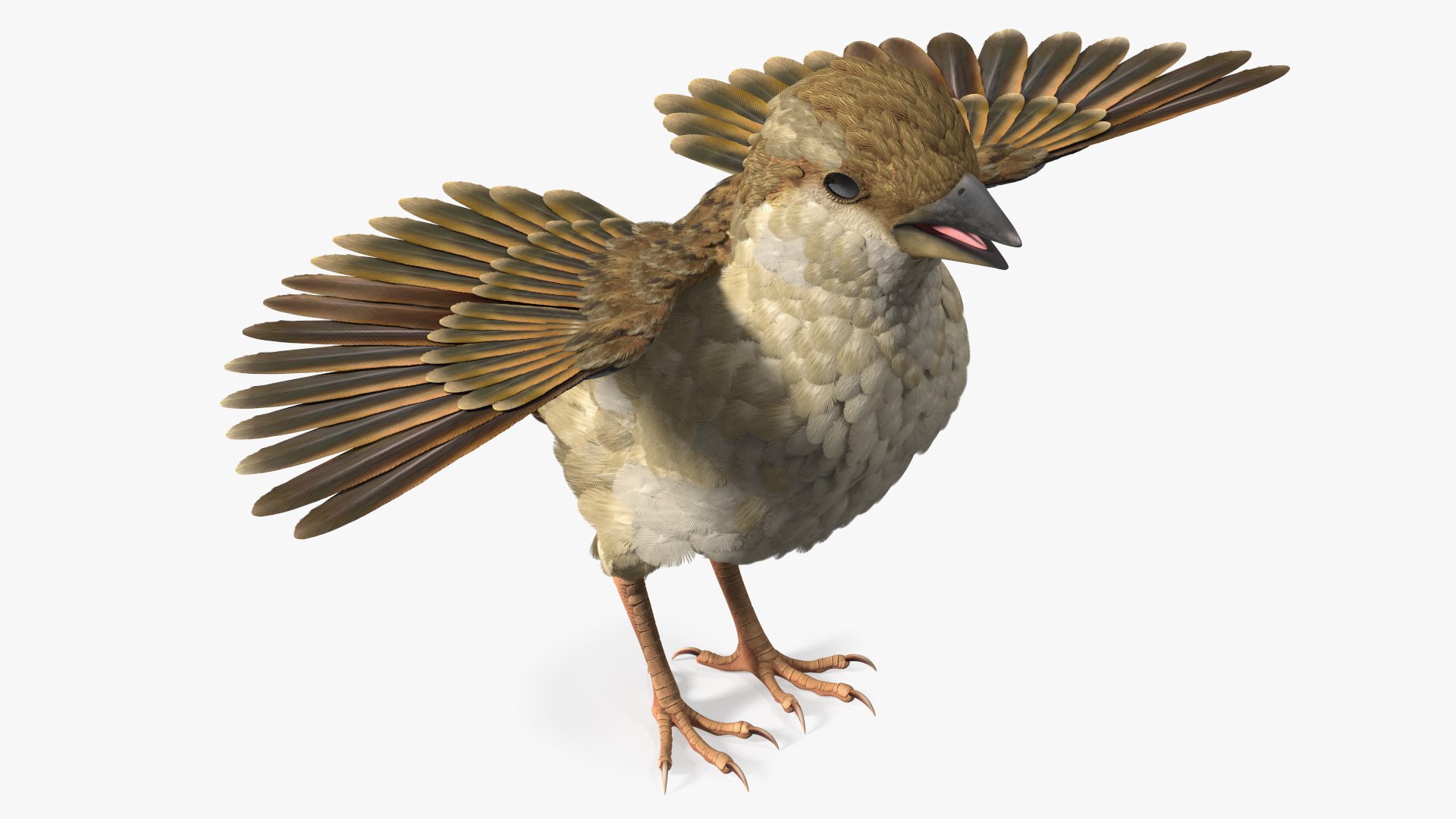 House Sparrow with Spread Wings model - TurboSquid 2136096