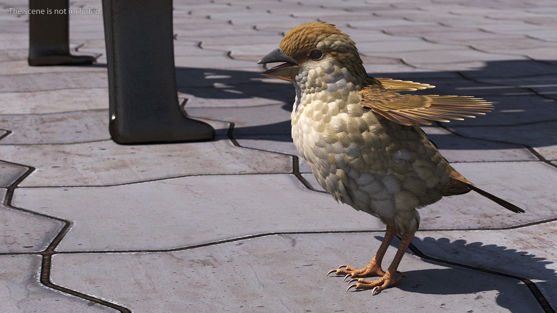 House Sparrow With Spread Wings Model - TurboSquid 2136096