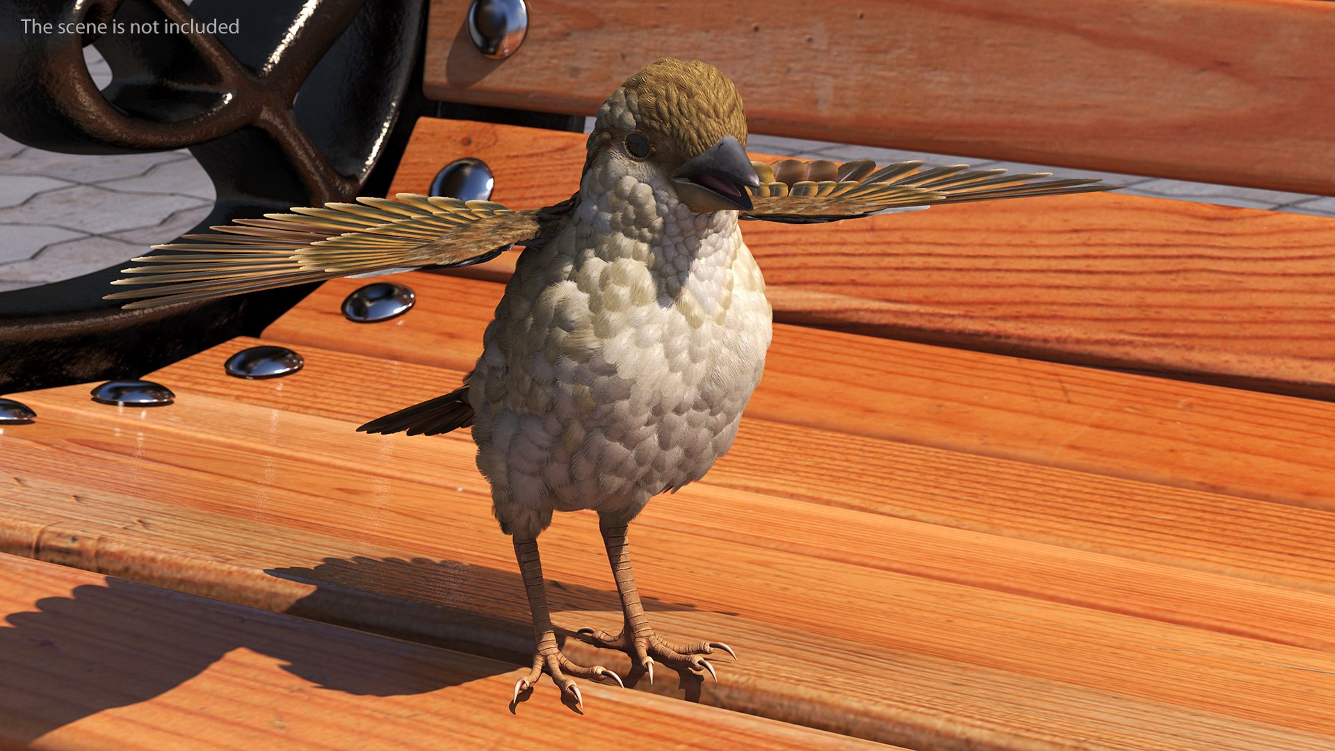 House Sparrow With Spread Wings Model - TurboSquid 2136096