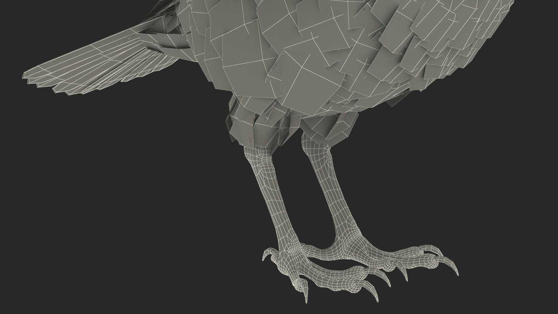 House Sparrow With Spread Wings Model - TurboSquid 2136096