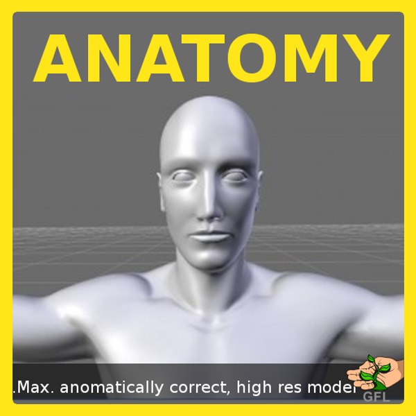 Free Human Body 3D Models for Download | TurboSquid