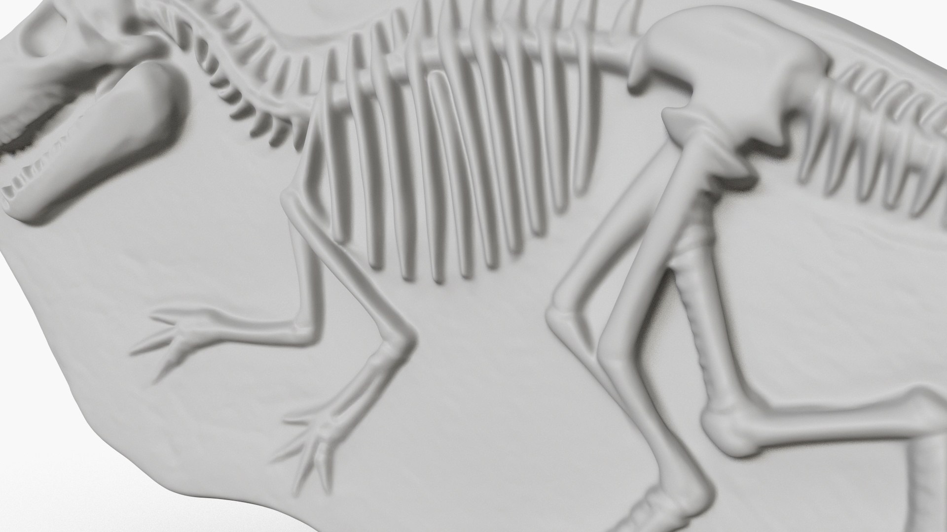 Dinosaur Fossil 007 3D Model - TurboSquid 2298335