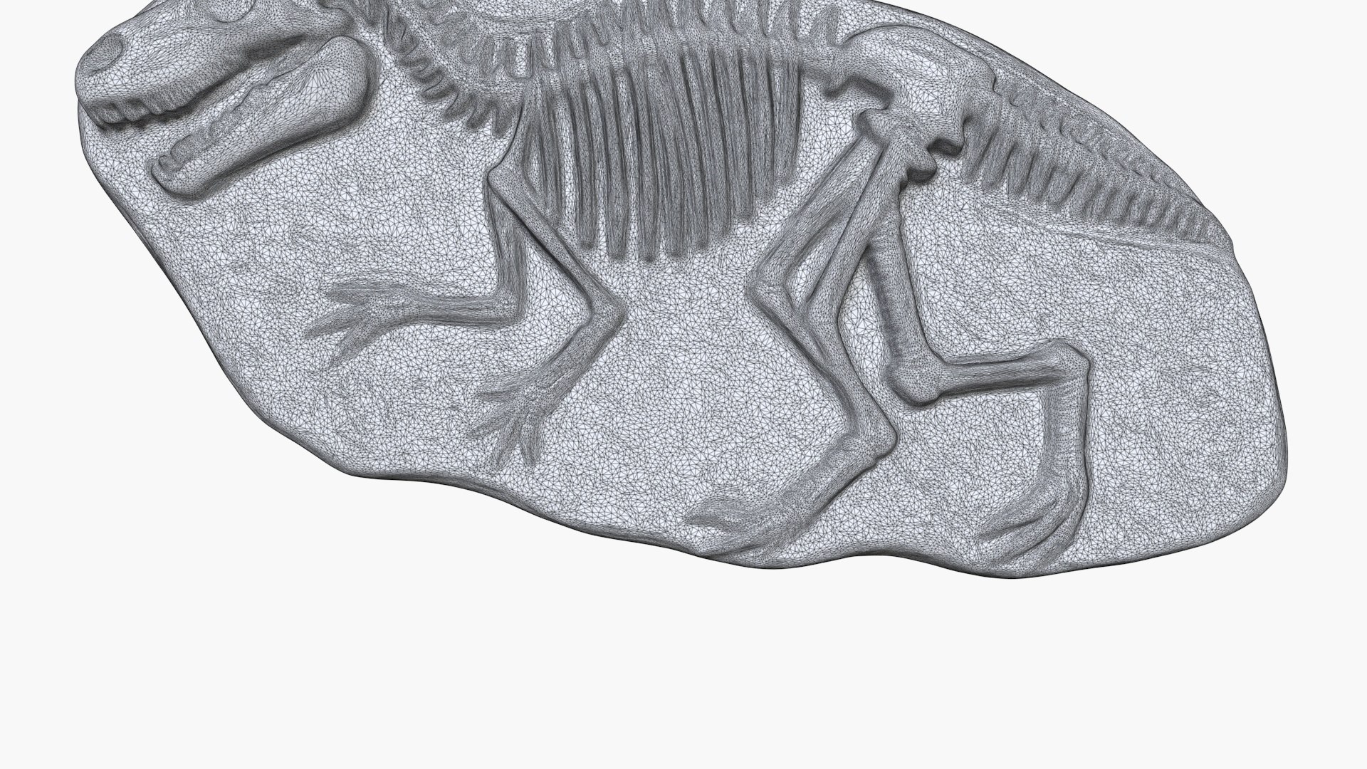 Dinosaur Fossil 007 3D Model - TurboSquid 2298335