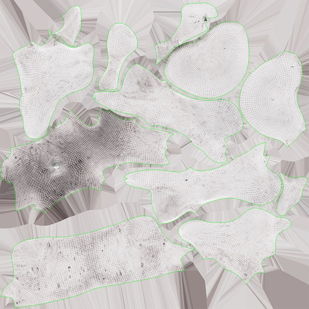 Bear Ursus Thoracic Vertebrae T12 3D Model - TurboSquid 2165100