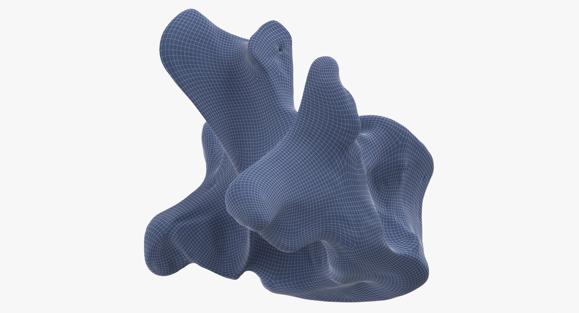 Bear Ursus Thoracic Vertebrae T12 3D Model - TurboSquid 2165100